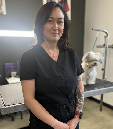 Luxury Pet Grooming Palm Desert, CA | Barkingham Pet Hotel California ...
